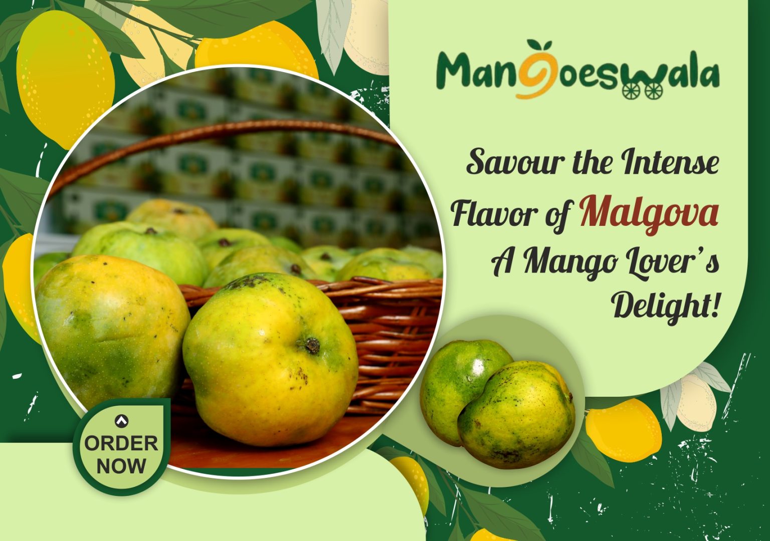 Order Malgova Mangoes - Naturally Ripened and Carbide Free!